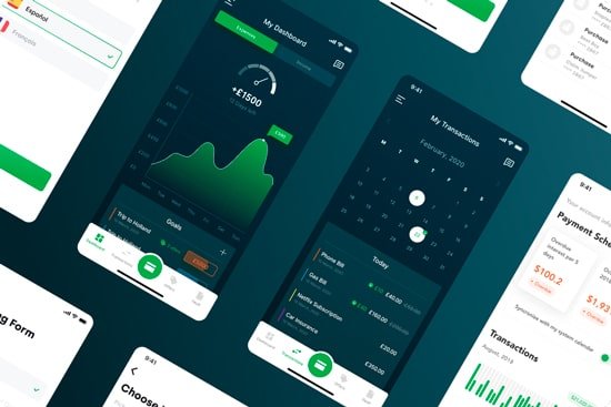 Itexus | Custom Software / Apps Development Company